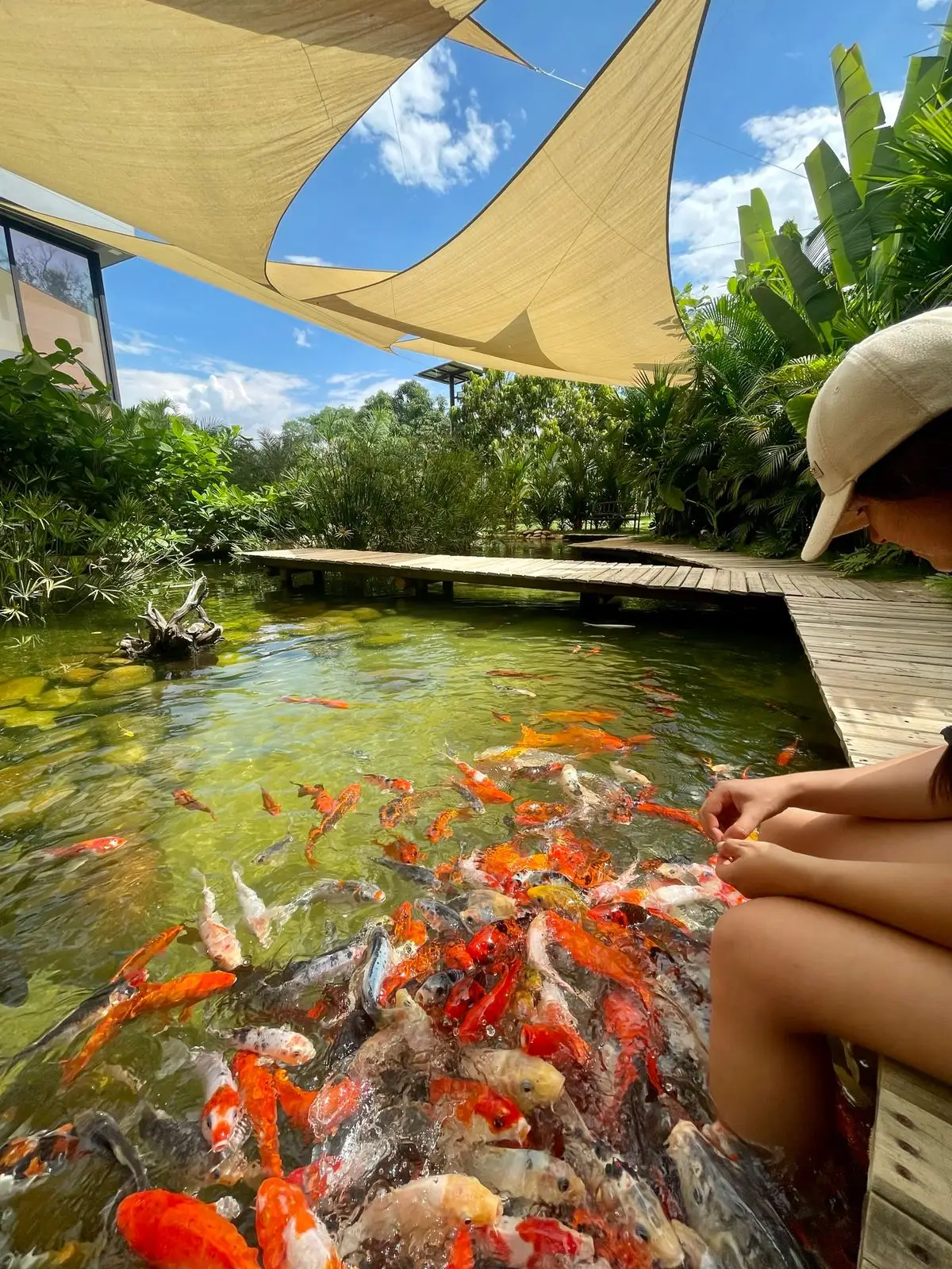 Gallery - ECOHOTEL VILLA RUSSO